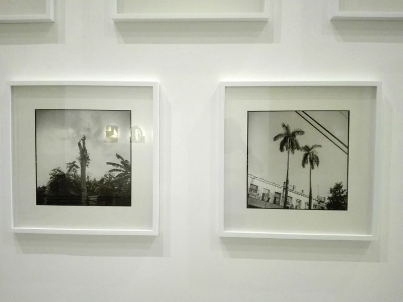 La inspiración de los Umbrales en Arte Continua | Arte por Excelencias